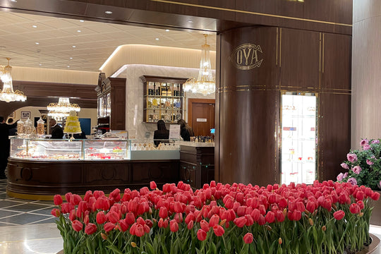 綠洲 DPT。店鋪 – Pasticceria Confetteria Cova s.r.l.